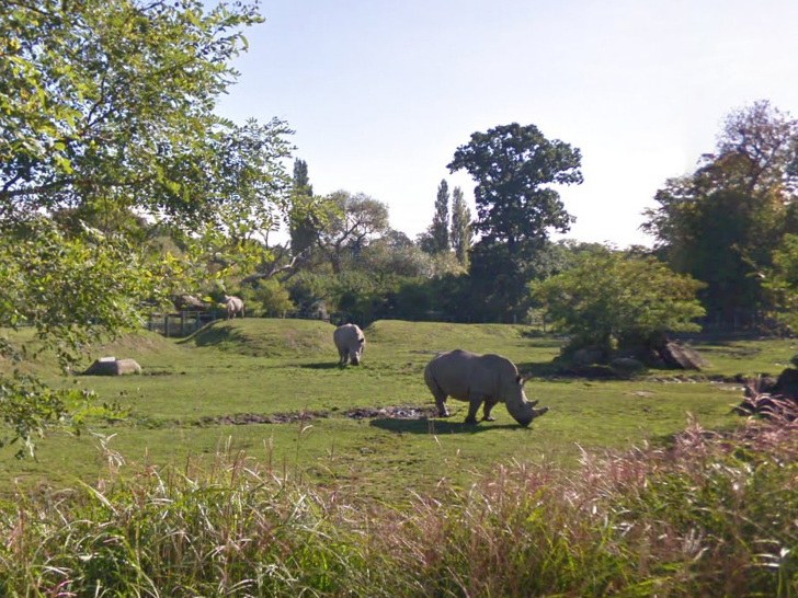 zoo — Google Sightseeing