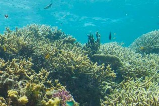 Google Sea View — Google Sightseeing